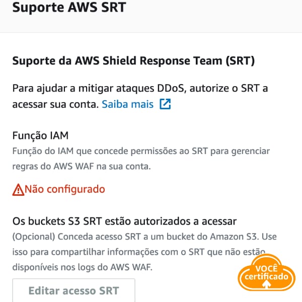 O Que Você Precisa Saber do AWS Shield Antes do seu Exame AWS? - Você ...